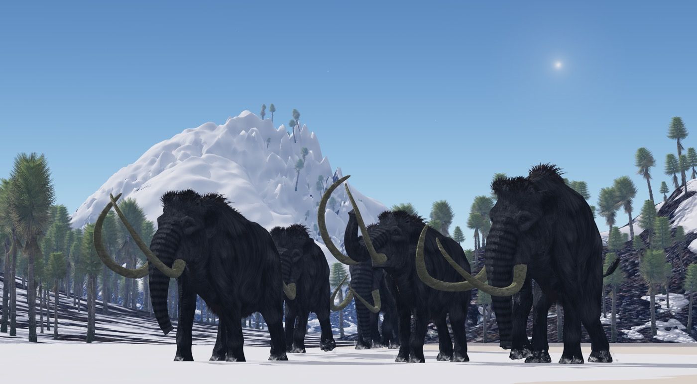 Reviving Extinct Species: Is It Worth the Cost? | Live Science