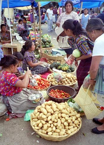 Ancient Mayan Marketplace Discovered | Live Science