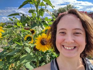 Growing Vines In Zone 3 Gardens: Tips On Choosing Hardy Vines For Zone ...