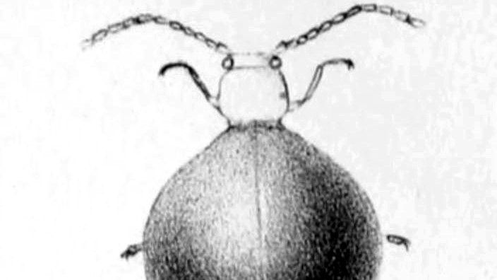 32 unusual poisonous animals | Live Science