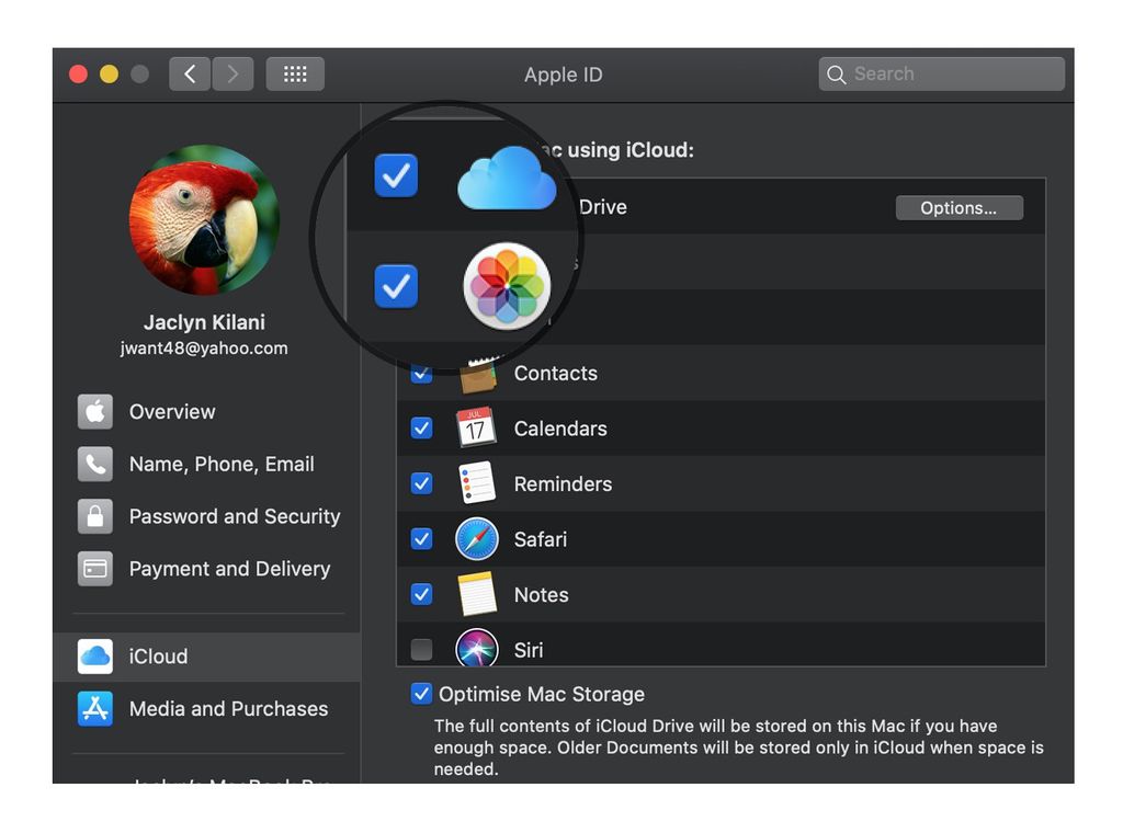 How to put app data in iCloud: Giving and revoking app access to iCloud ...
