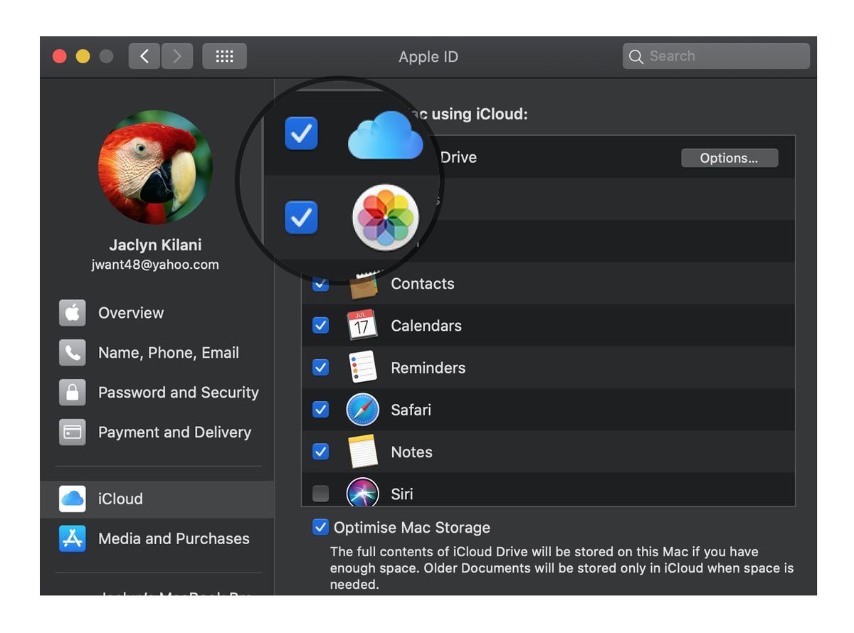 How to put app data in iCloud: Giving and revoking app access to iCloud ...