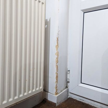 5 signs of rising damp every homeowner should look out for | Ideal Home