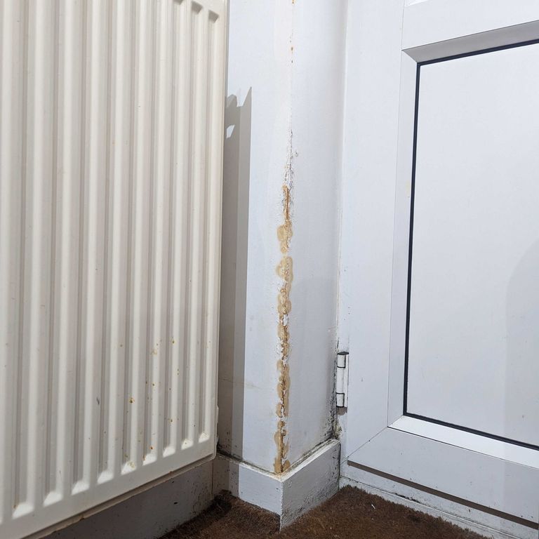 5 signs of rising damp every homeowner should look out for | Ideal Home
