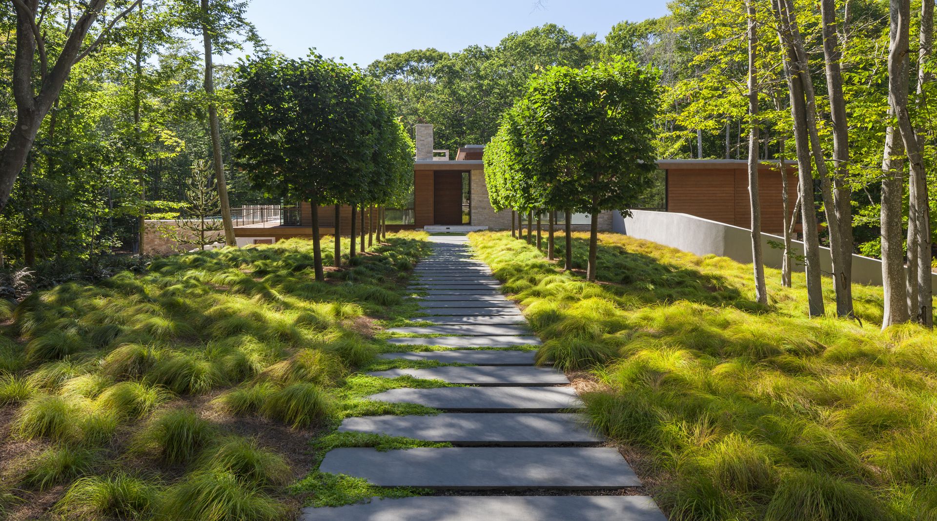 Tree landscaping ideas for planting a beautiful space | Livingetc