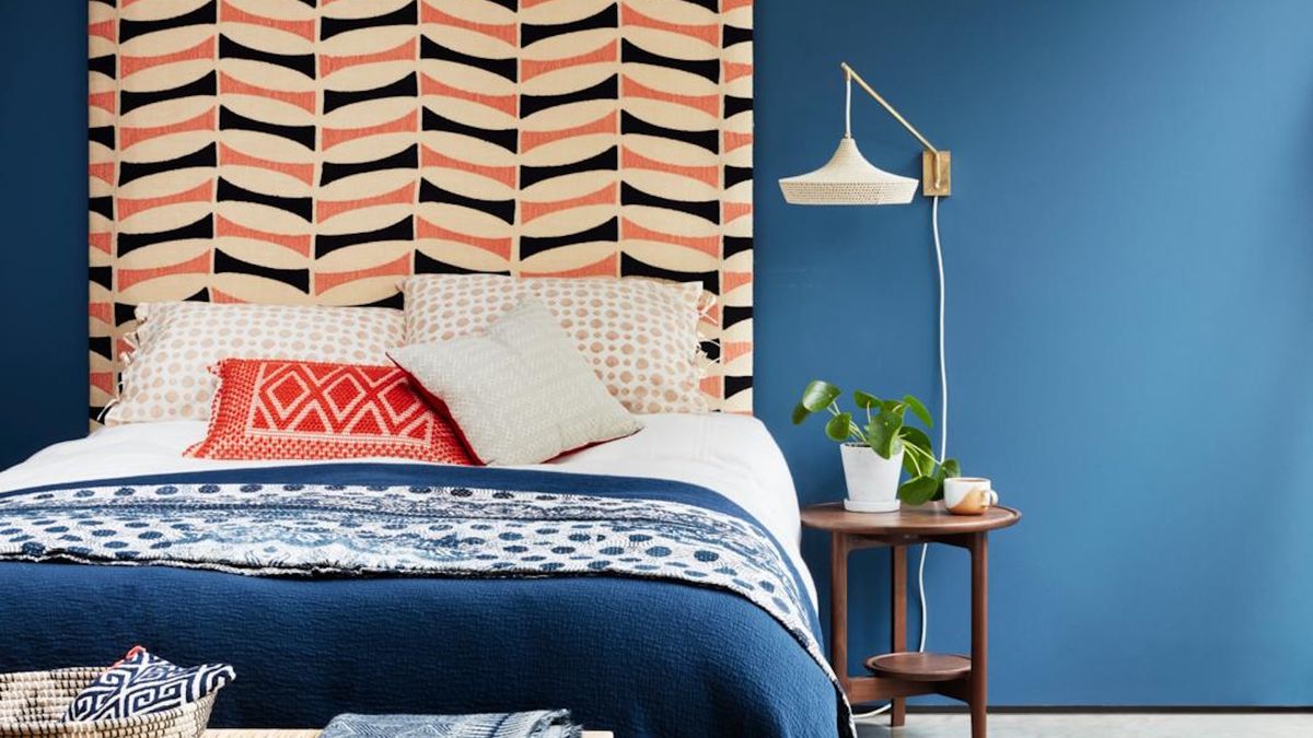 5 houseplants for your dorm room, plus expert tips on care | Homes and ...