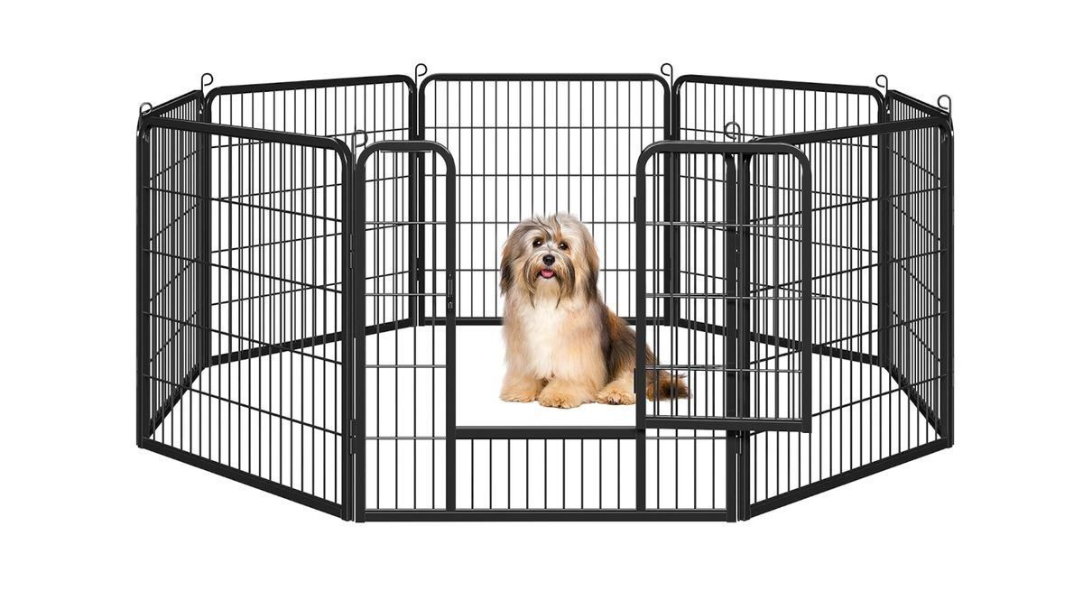 Best rabbit runs 2024 to let your bunny stretch their legs | PetsRadar