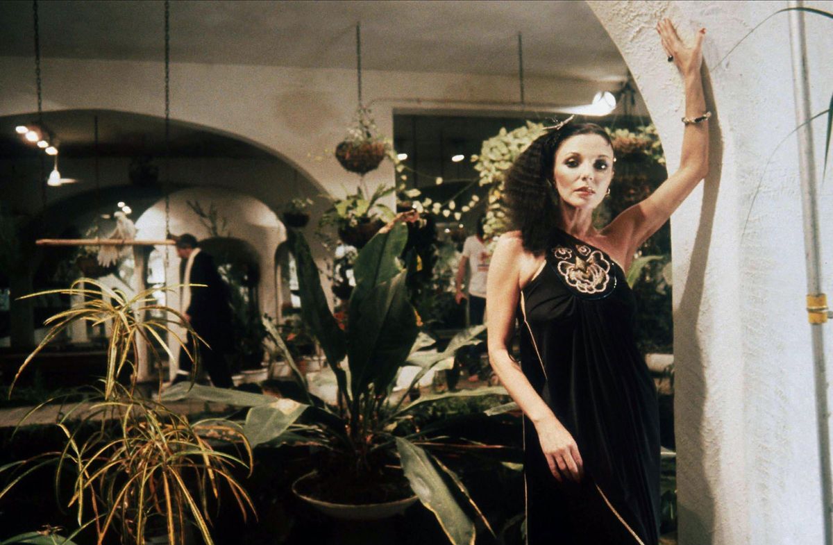 The Bitter End: cast, plot, first look, Joan Collins movie | What to Watch