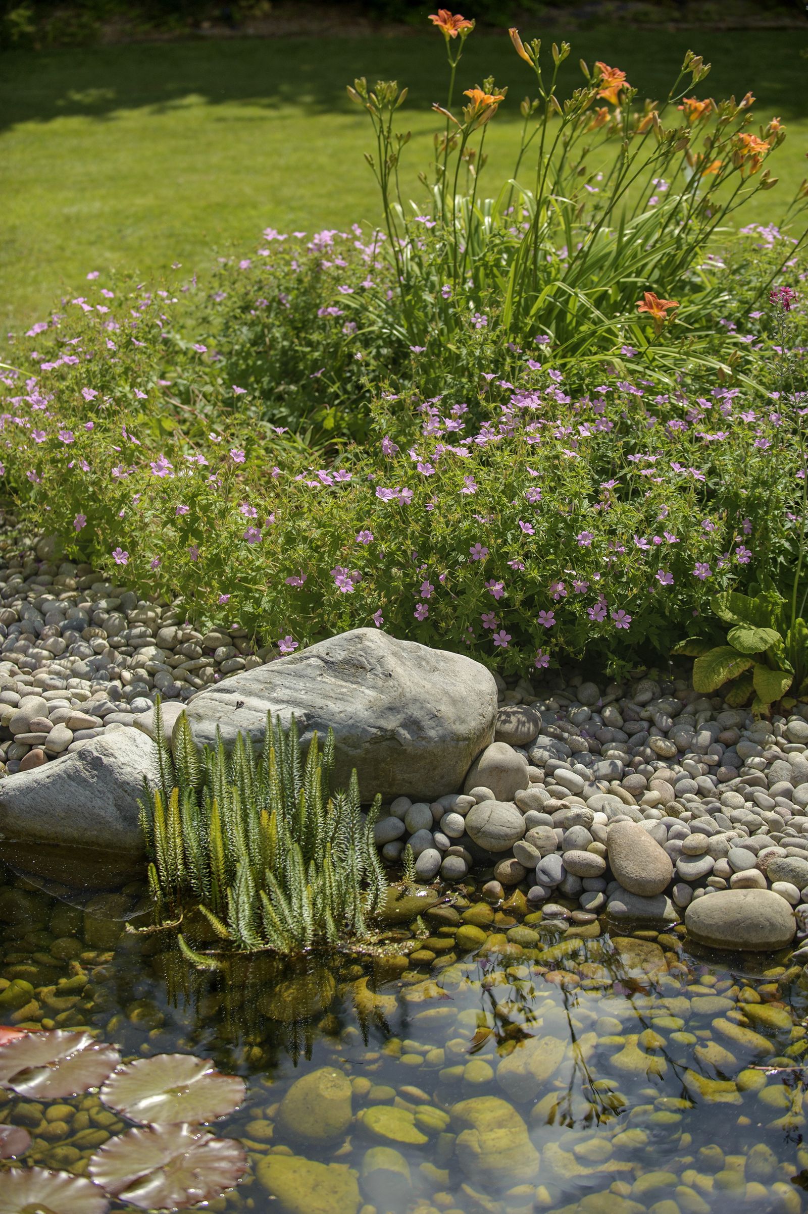 How to build a pond: a step by step expert guide | Homes and Gardens