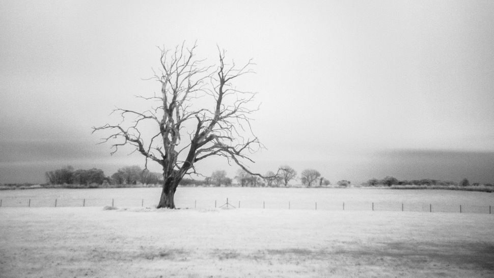 Take infrared photos on a tight budget with your DSLR or mirrorless ...