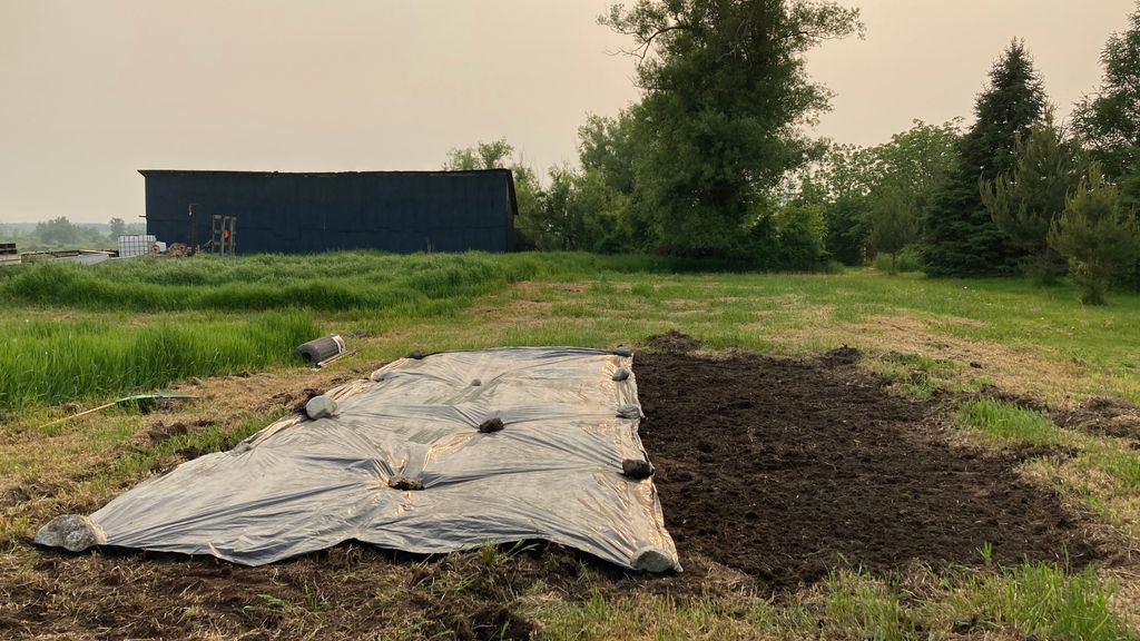 How To Turn An Overgrown Field Into A Garden Full Of Produce ...