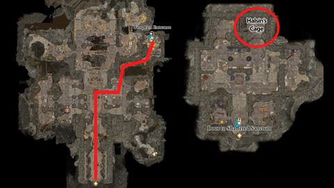 Where is Halsin in Baldur's Gate 3? | PC Gamer