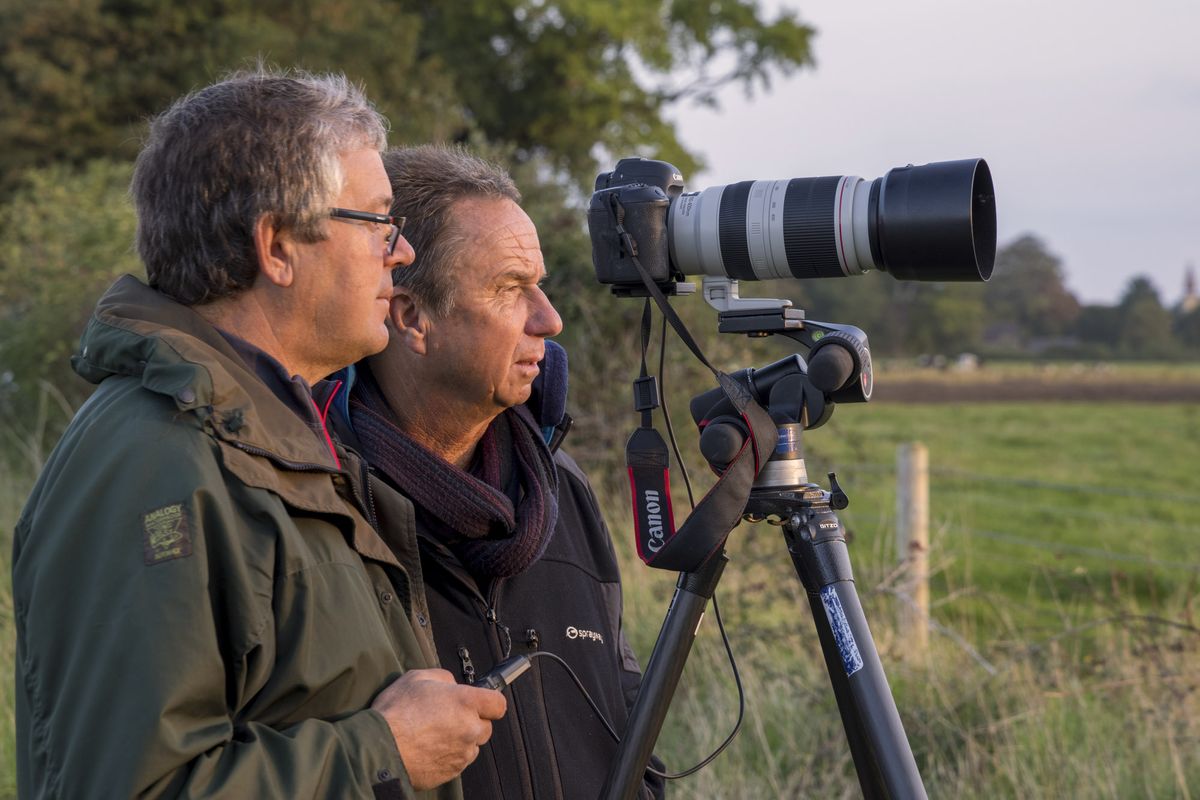 10 pro tips for tremendous treescapes: take amazing tree landscapes ...