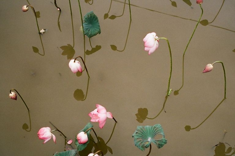 Chris Rhodes’ first photobook is an ode to the everyday | Wallpaper*