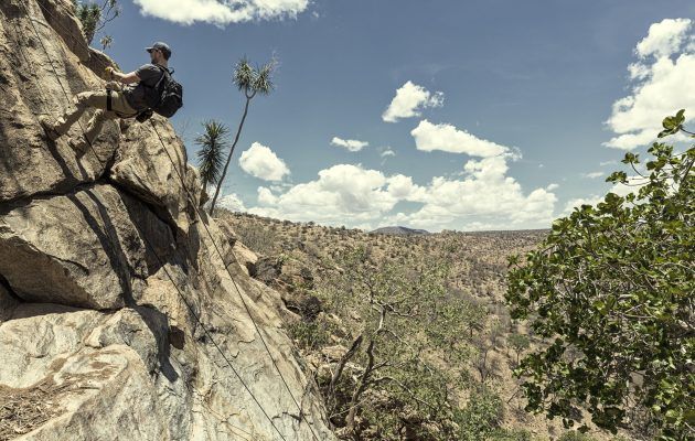 Bear Grylls to host most insane survival show EVER | What to Watch