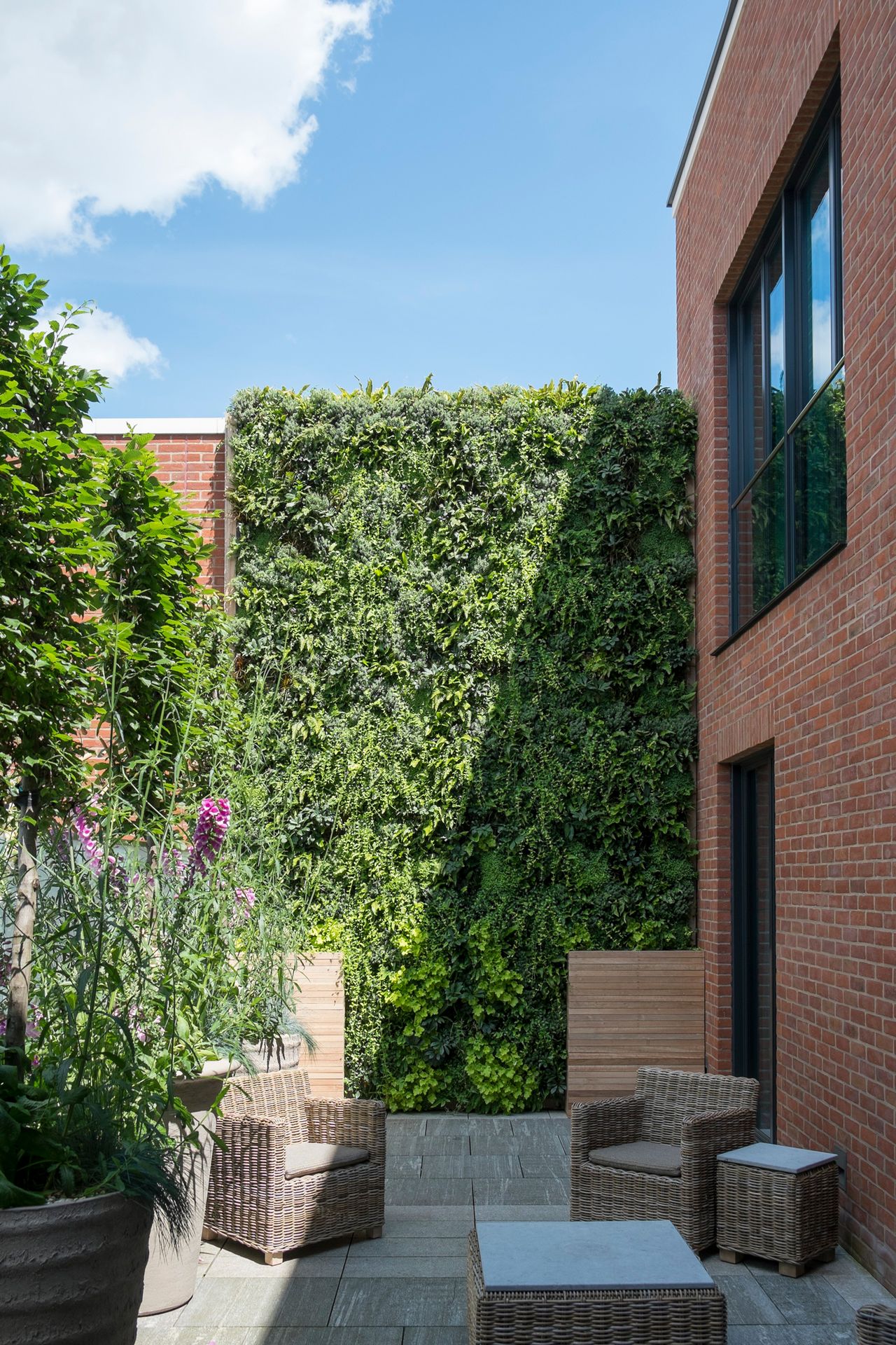 Rewilding – The Latest Trend In Garden Design