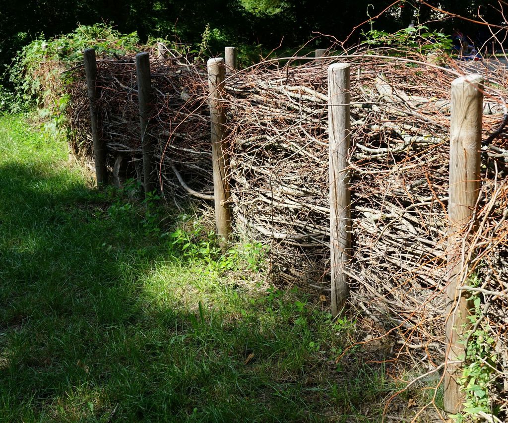 How to build a dead hedge: A step-by-step guide | Homebuilding