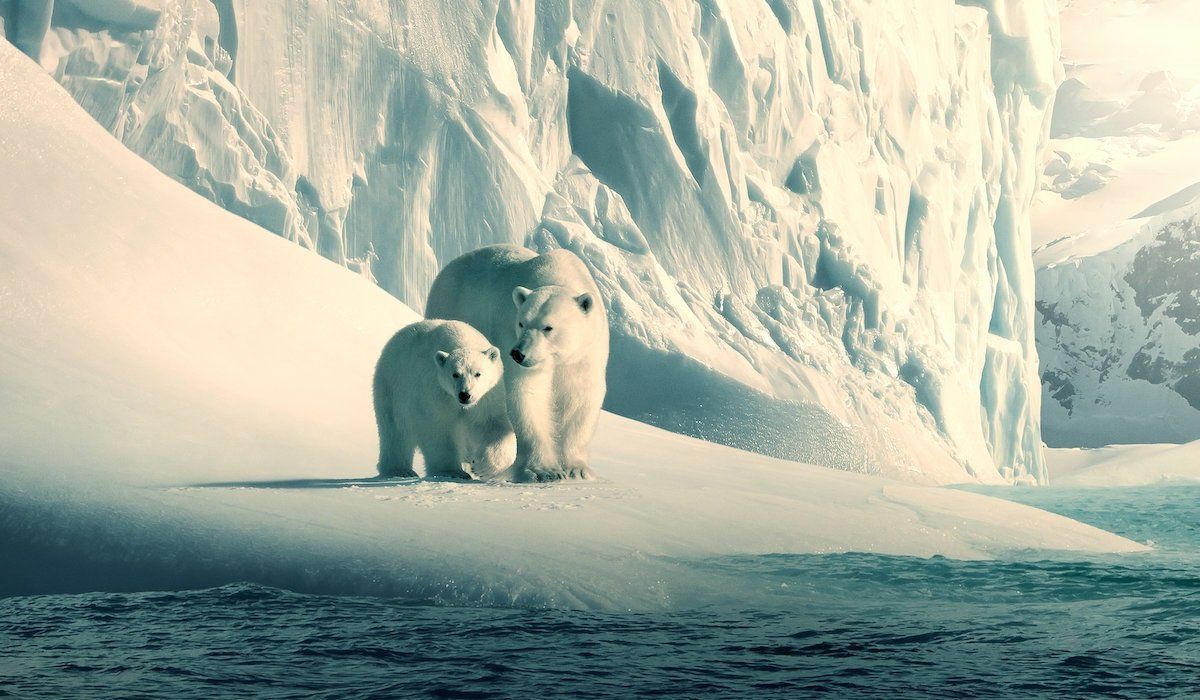 Netflix Reveals 10 Most-Watched Shows From The Past Year | Cinemablend