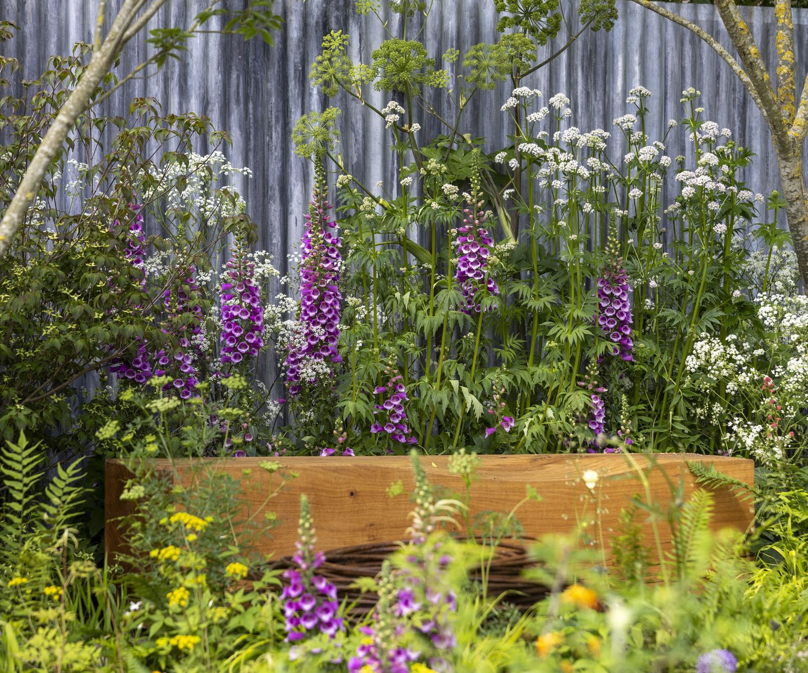 Best plants from the RHS Chelsea Flower Show | Homes and Gardens