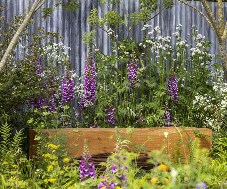Best flowering ground cover plants: 5 colorful species to grow | Homes ...