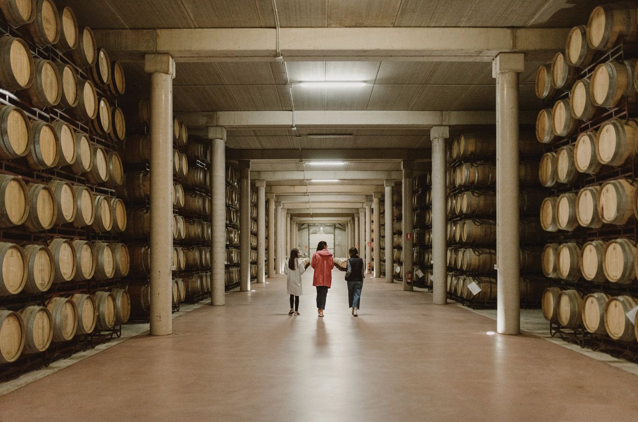 Viña Eguía: A bright new take on Rioja | Decanter