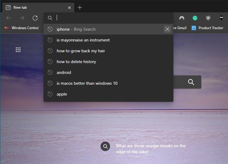 New Microsoft Edge feature helps you delete sketchy suggested searches ...