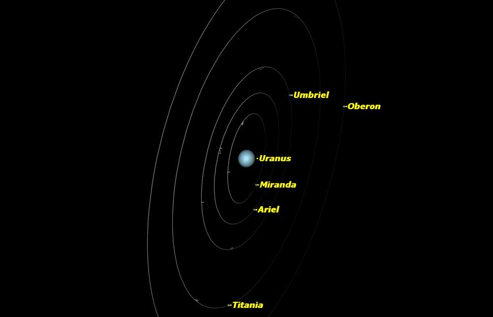 Find Uranus, Neptune in Night Sky Now | Space