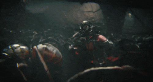 Disneyland Offering Special Ant-Man Sneak Peeks | Cinemablend