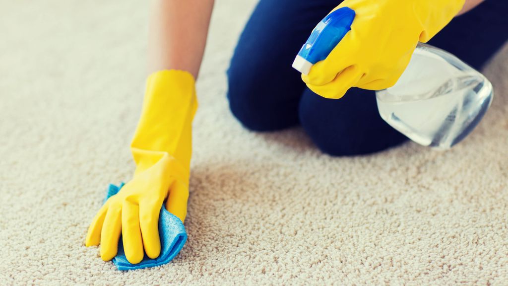 9 things you didn't know you could do with Borax | Tom's Guide