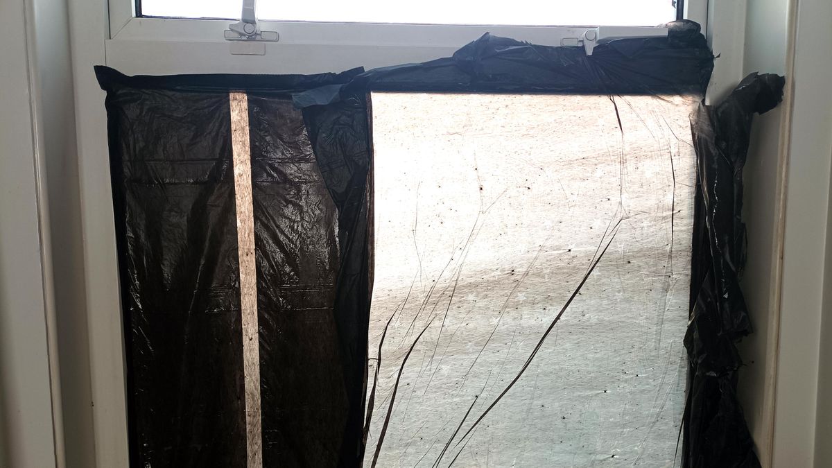 Installing window film: a quick easy way to add privacy | Homebuilding