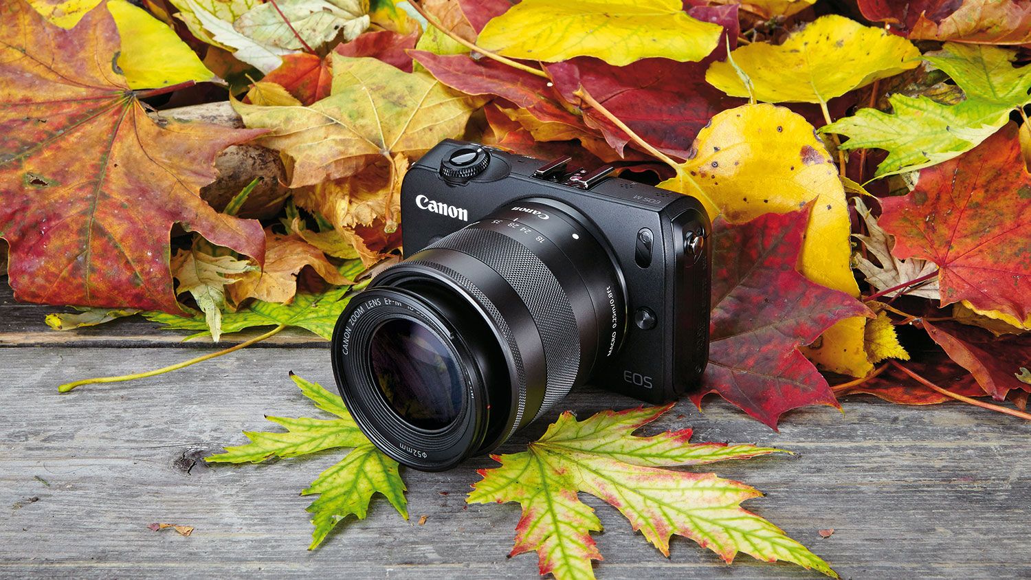 The best Canon EF-M lenses for EOS M series cameras | Digital Camera World