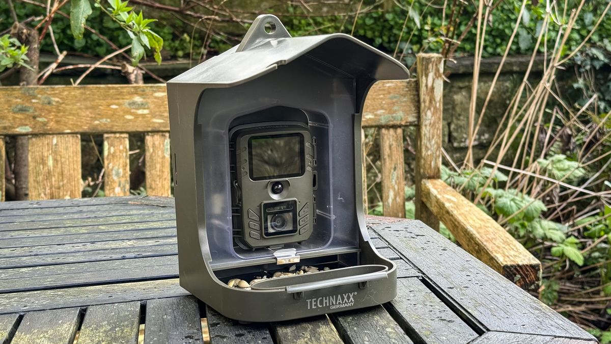The best bird feeder camera in 2024 | Digital Camera World
