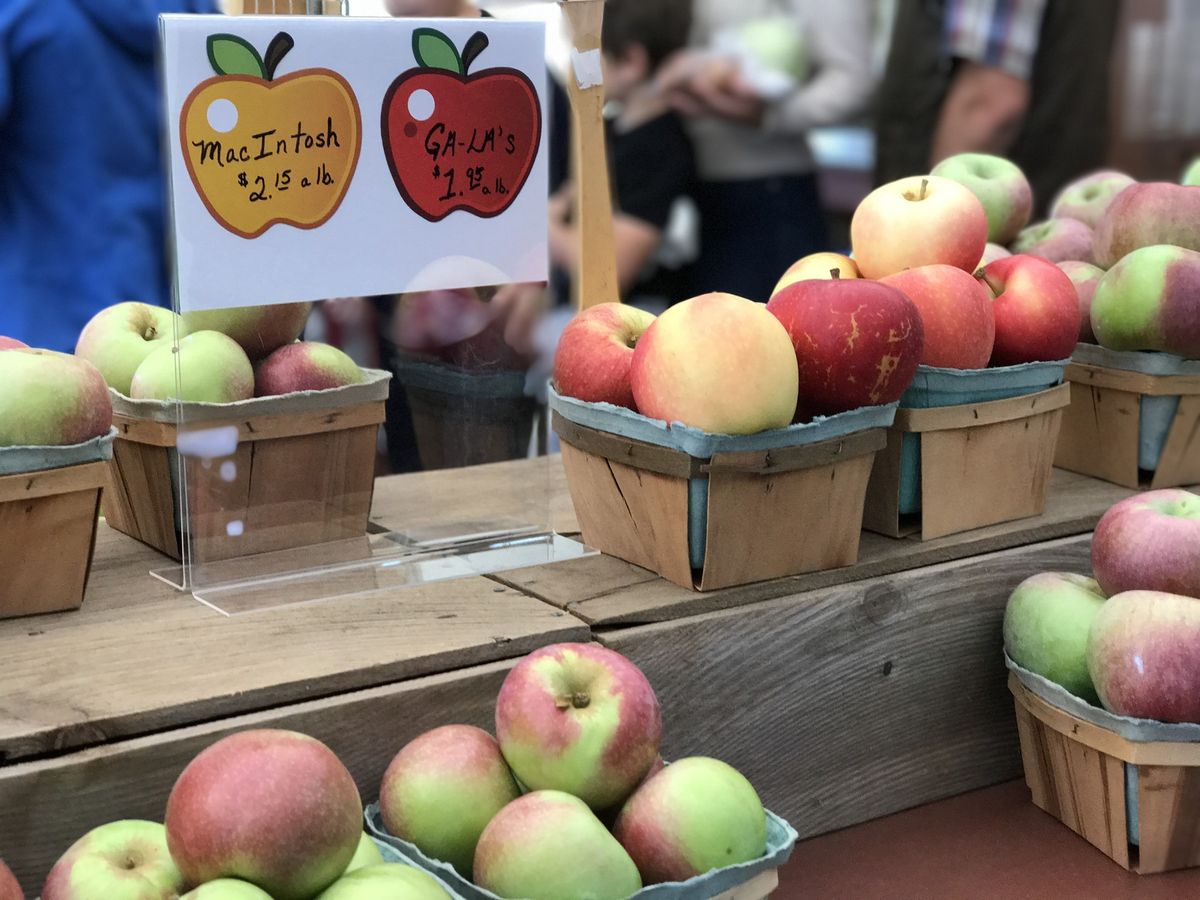 iPhone 7 Portrait Mode review: Magic in its imperfections | iMore