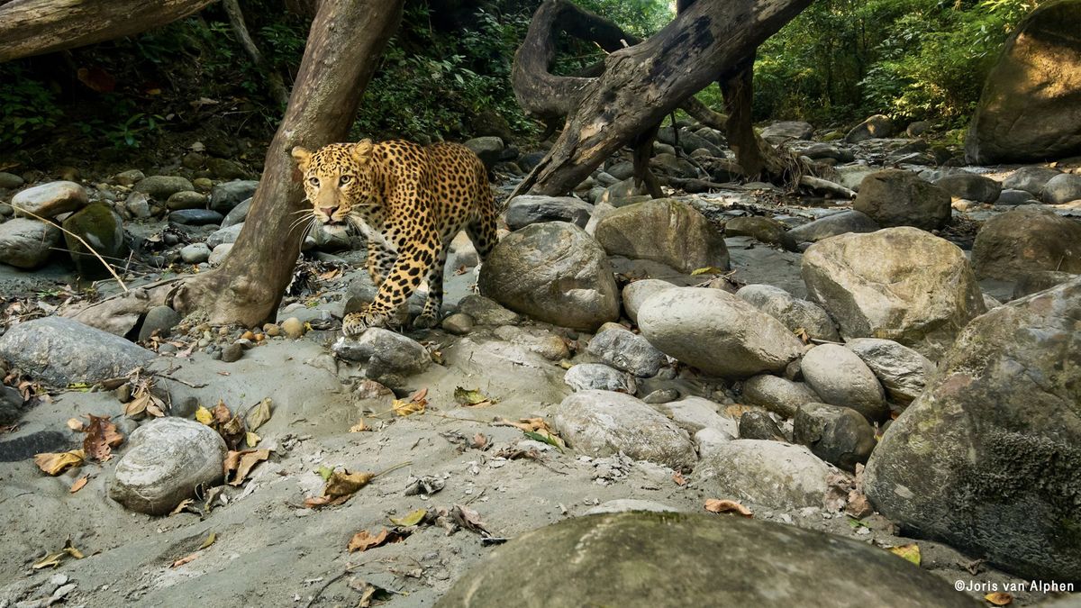 WildPhotos 2024 is a new wildlife photography event coming to the UK ...