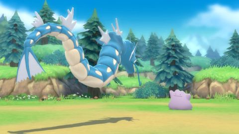 Where to get Ditto in Pokémon Brilliant Diamond and Shining Pearl | iMore