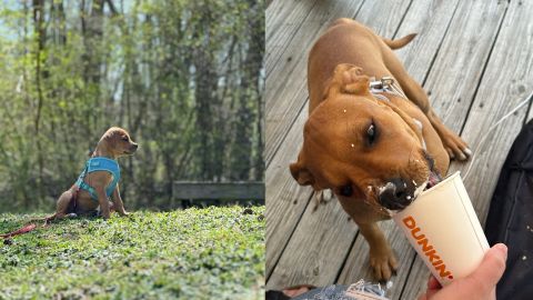 Andrew Myrick's Top 10 of 2023 | Android Central