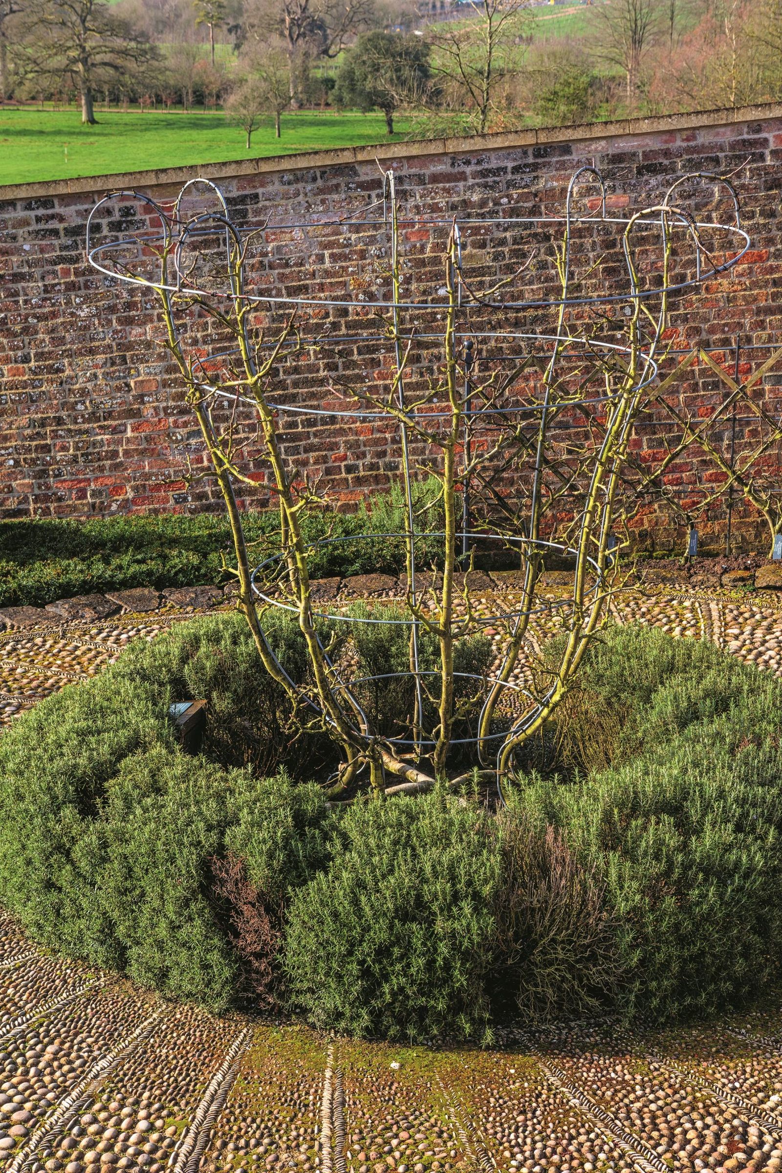 The Newt, Somerset: An 18th-century walled garden with the finest ...