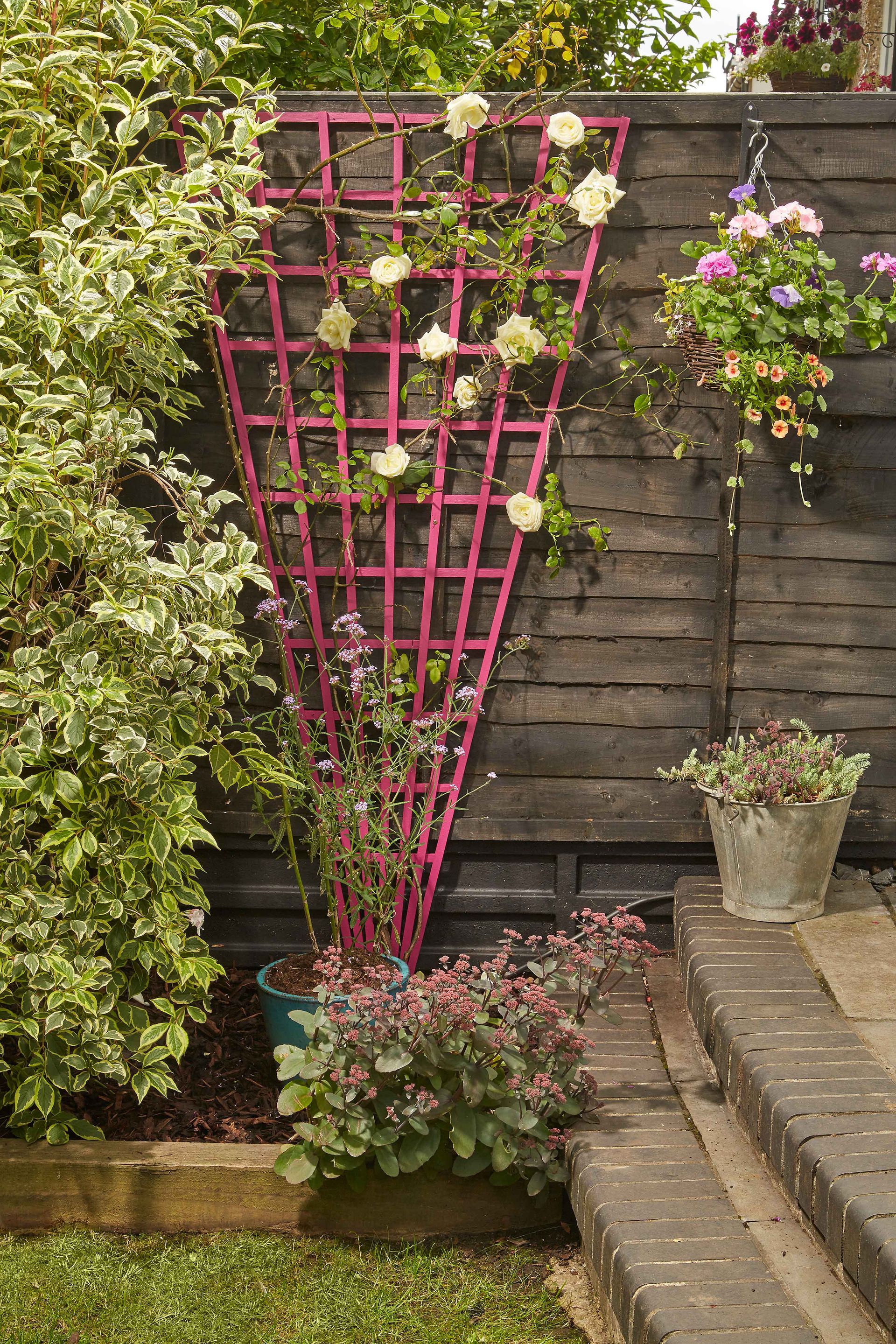 Trellis ideas for gardens: 15 chic screens to add plants, privacy and ...
