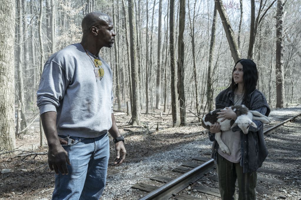 Tales of the Walking Dead: everything we know | What to Watch