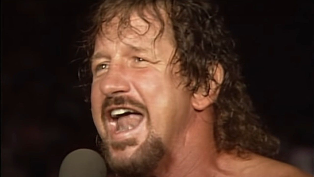 Triple H, Ric Flair, And More Remember Wrestling Legend Terry Funk ...