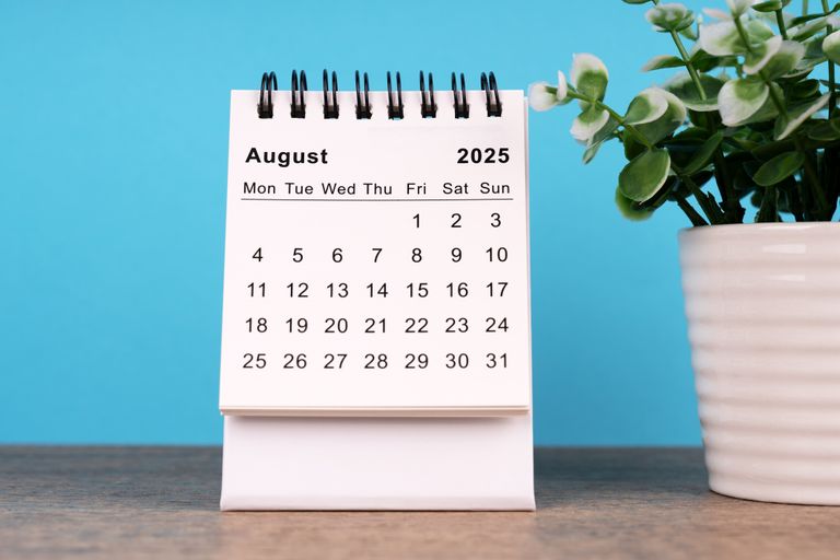 How to Correct Errors on Your Social Security Statement and Collect ...