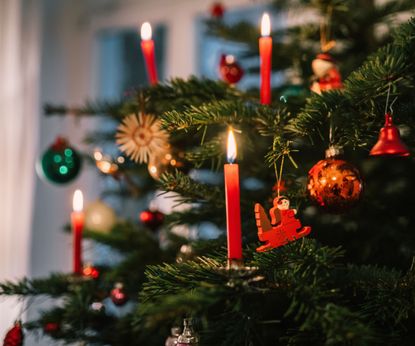 Can you put real candles on a Christmas tree? Experts advise | Homes ...