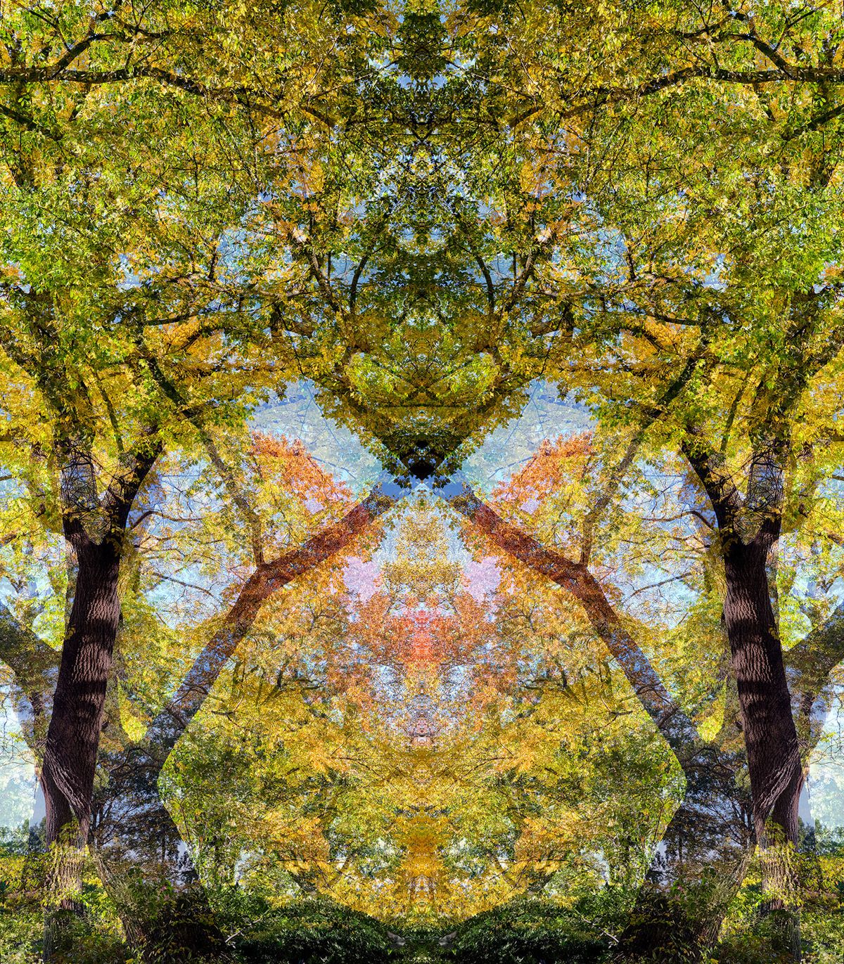 Andrew Prokos uses the Fujifilm GFX 100 to make big prints of big ...