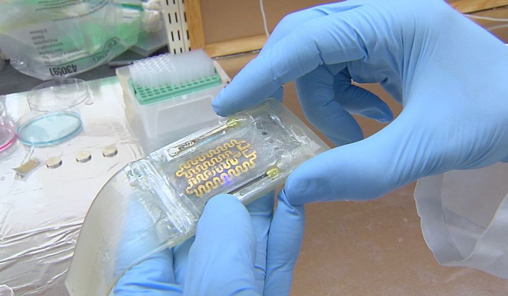 Not Just a Band-Aid: How ‘Smart Bandages’ Will Change Medicine | Live ...