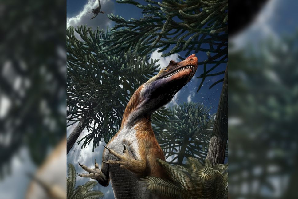 Photos: Carnivorous Dinosaur Discovered in Italian Alps | Live Science