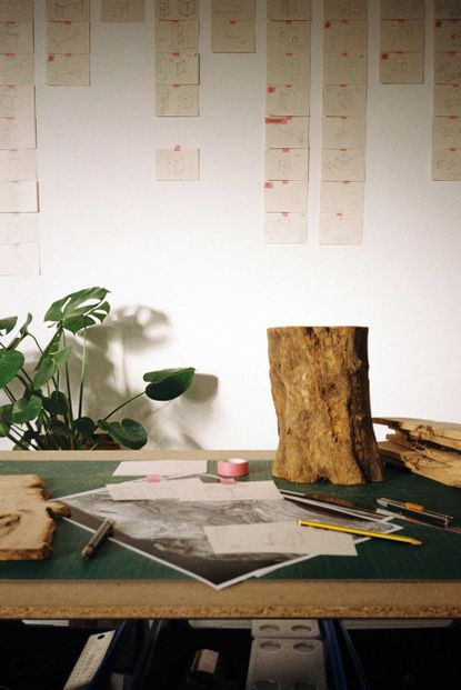 Madrid Design Festival 2025: ‘Uprooted’ olive roots in focus | Wallpaper*