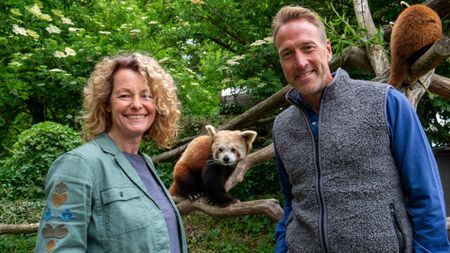 Springwatch 2024: air date, presenters, locations, interview | What to ...