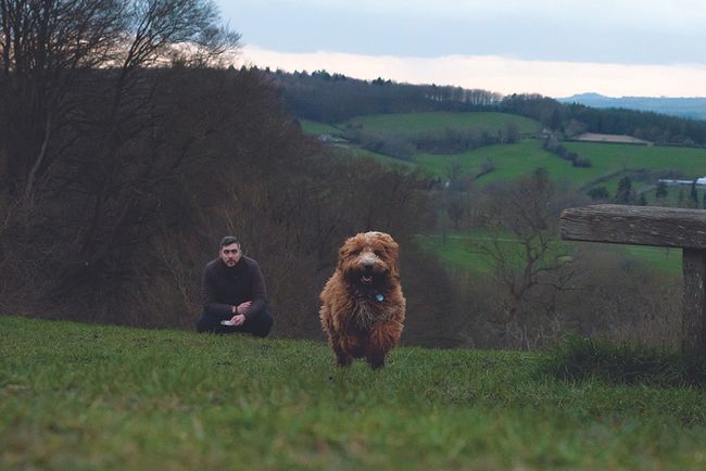 Dog photography: how to shoot action shots of running dogs | Digital ...