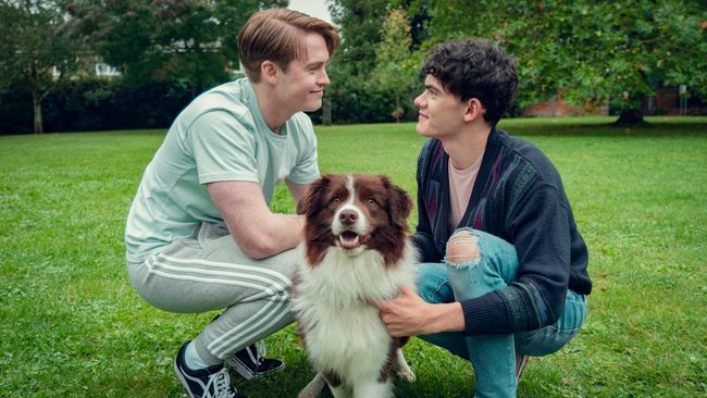 Heartstopper season 3: release date, trailer, cast, plot and all we ...