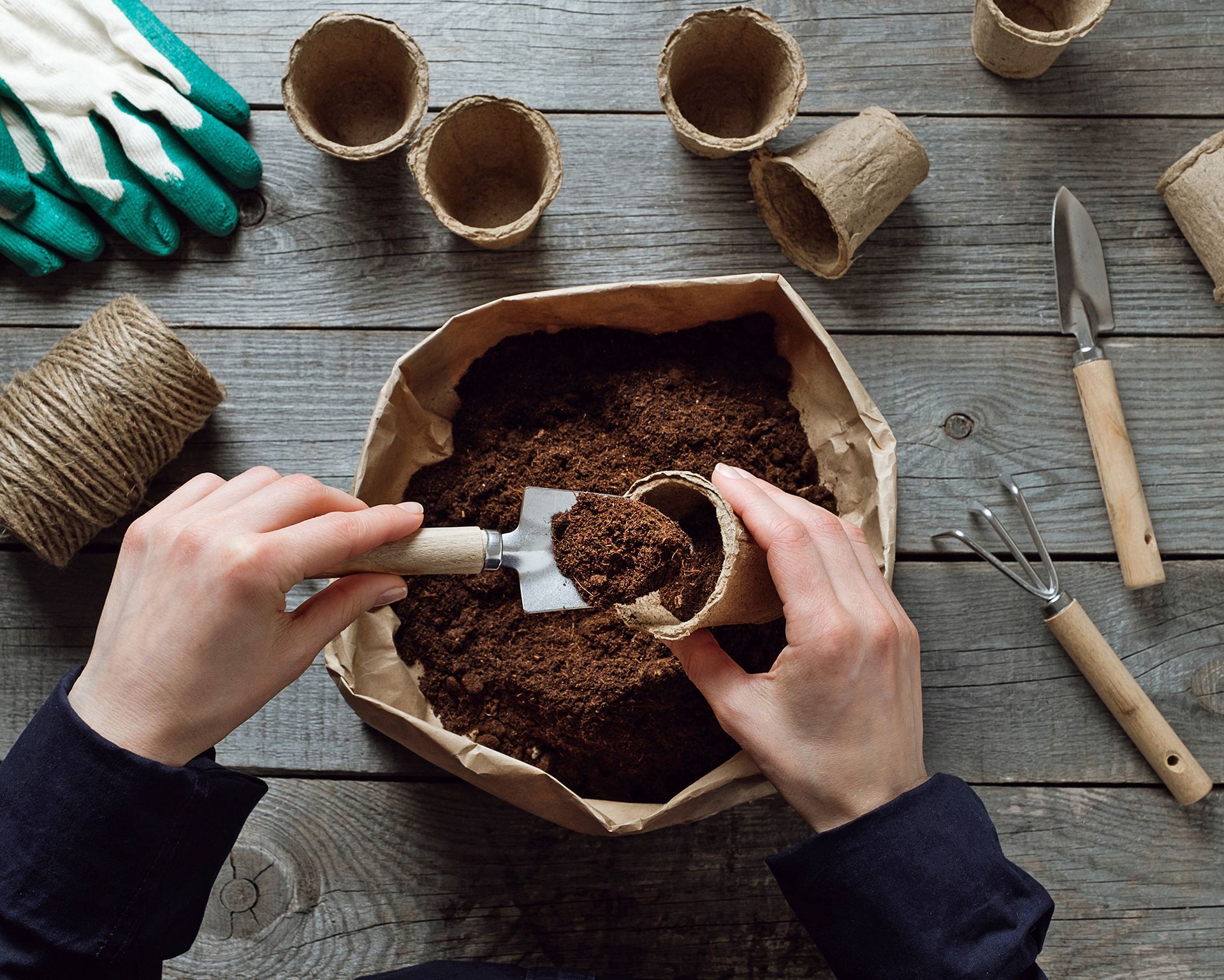 Struggling To Grow? Fix These 7 Seed Starting Mistakes Now | Gardening ...